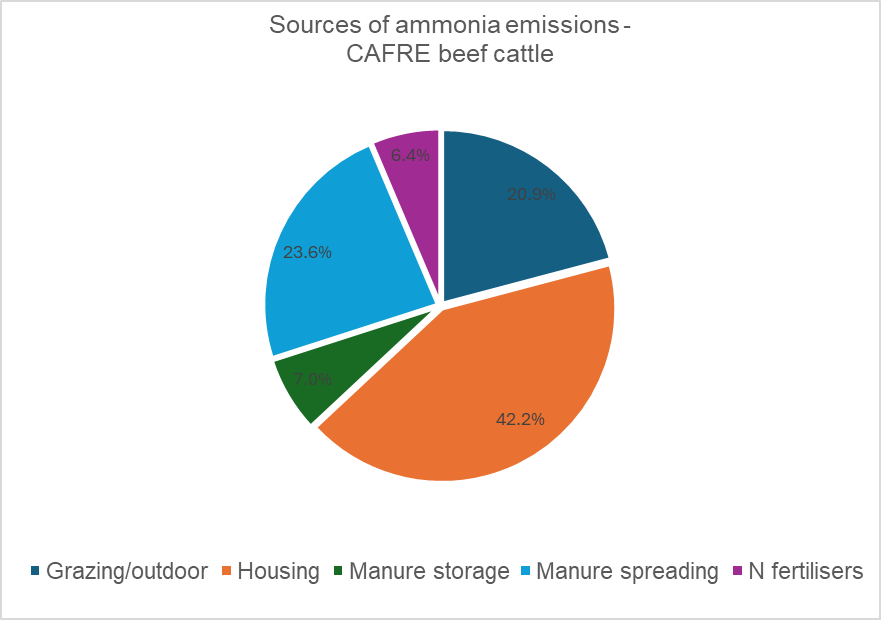Ammonia mitigation measures at CAFRE Beef and Sheep farms | Department ...