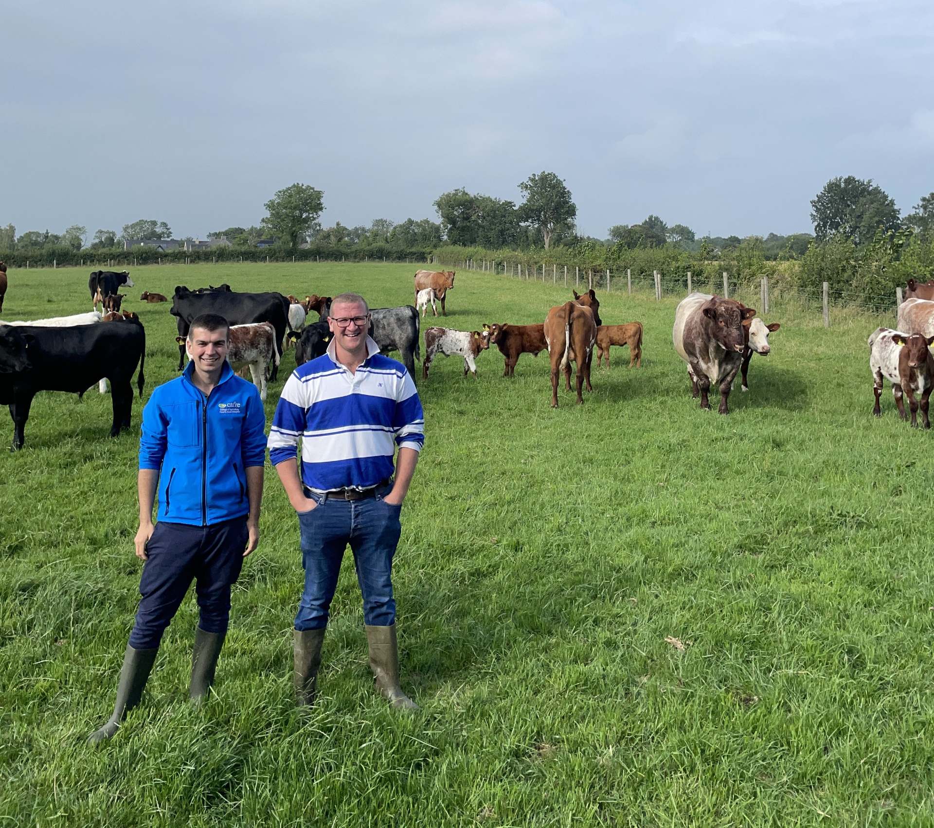 Family farm benefit from CAFRE discussion groups | Department of ...