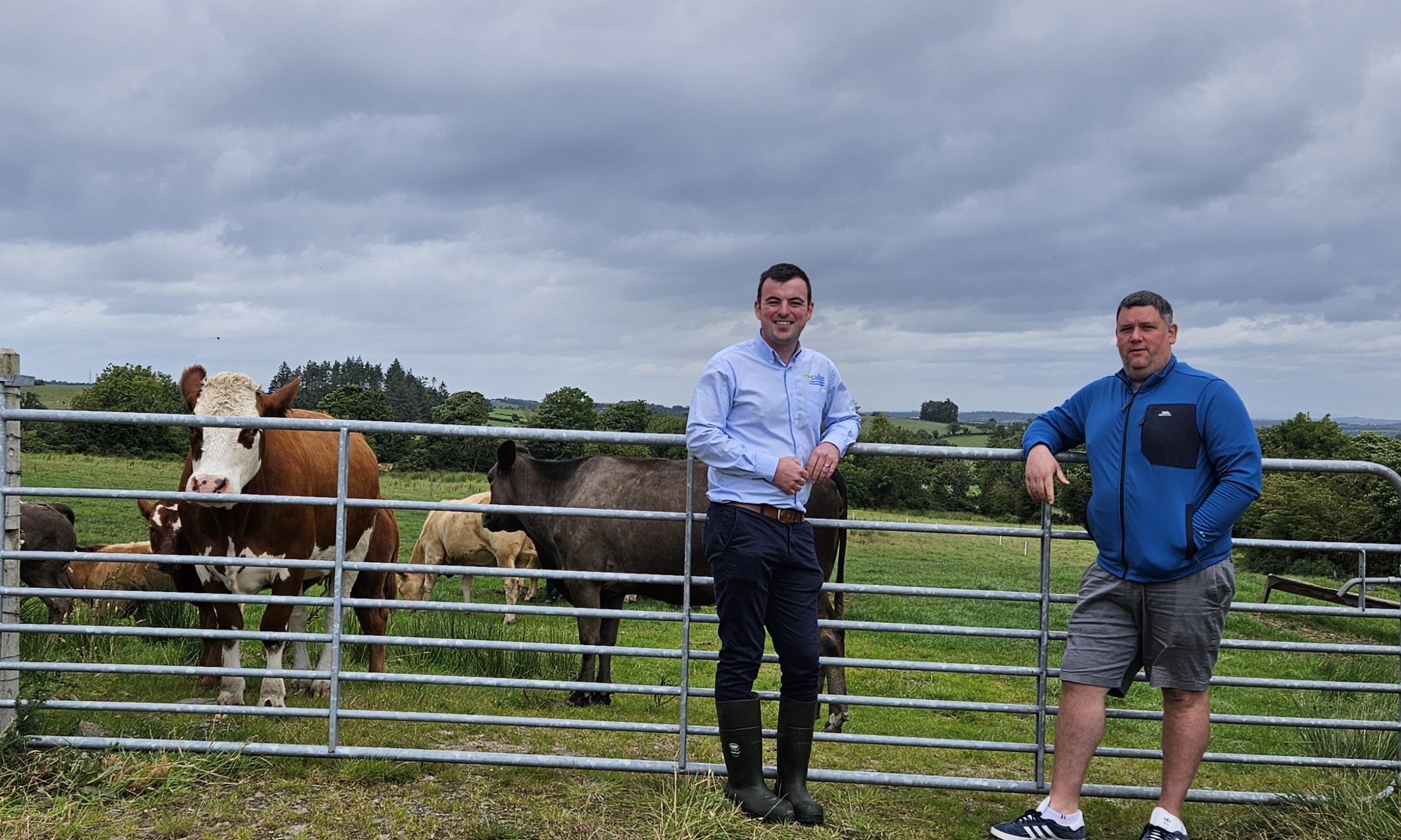 CAFRE group membership delivers on smarter cattle breeding | Department ...