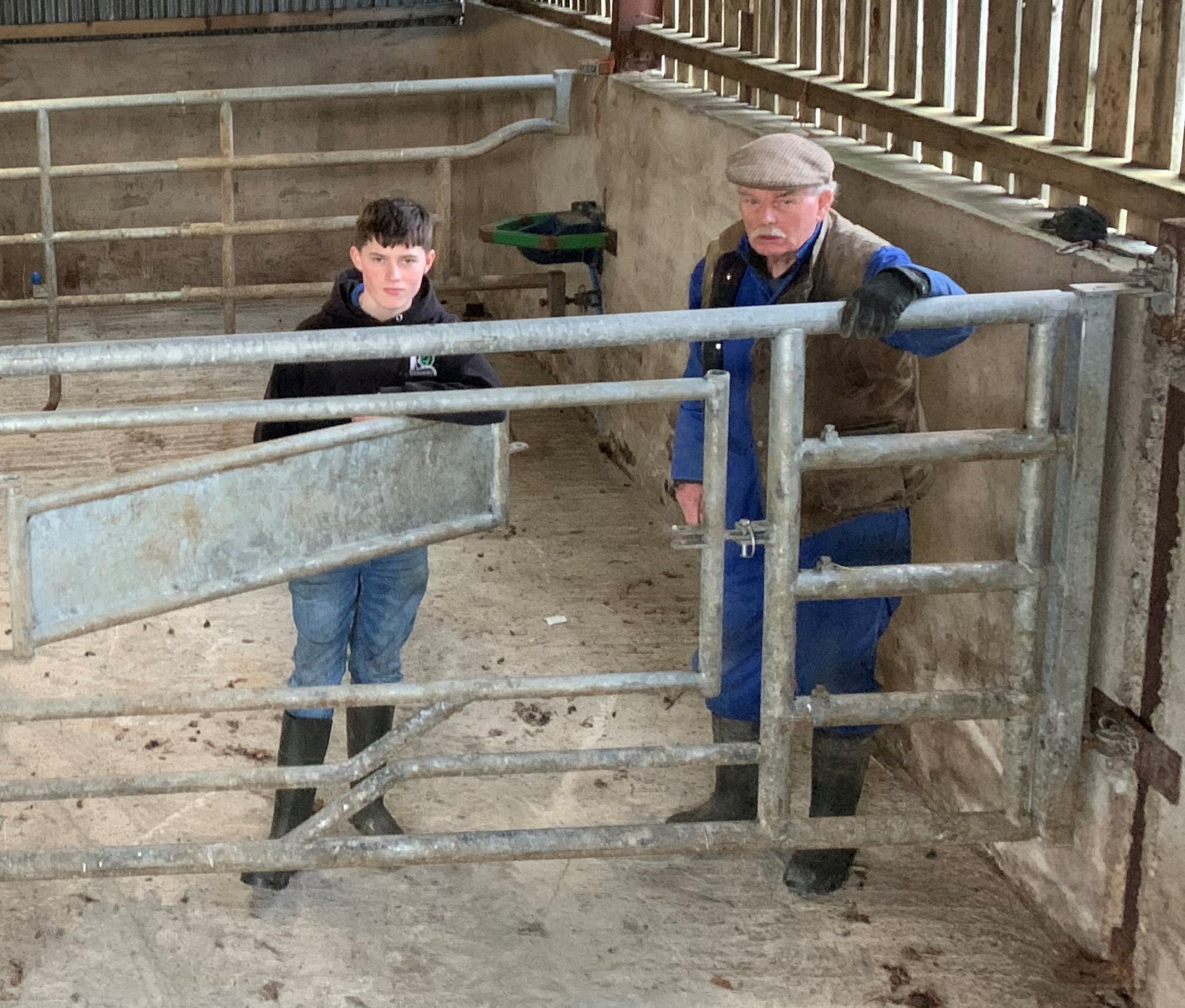 Think SAFE at calving time | Department of Agriculture, Environment and ...