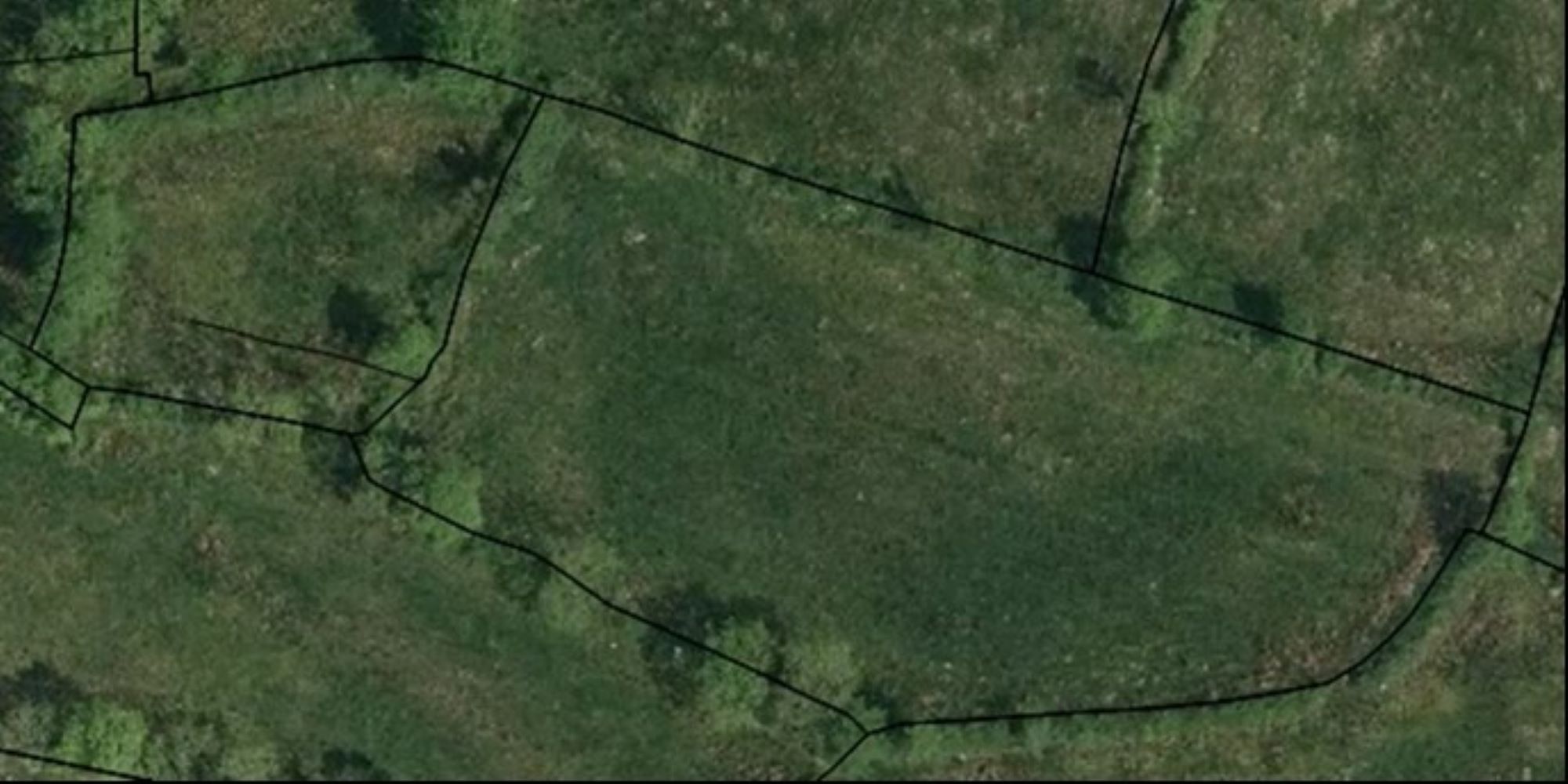 Celebrating the growth of Social Farming in Northern Ireland ...