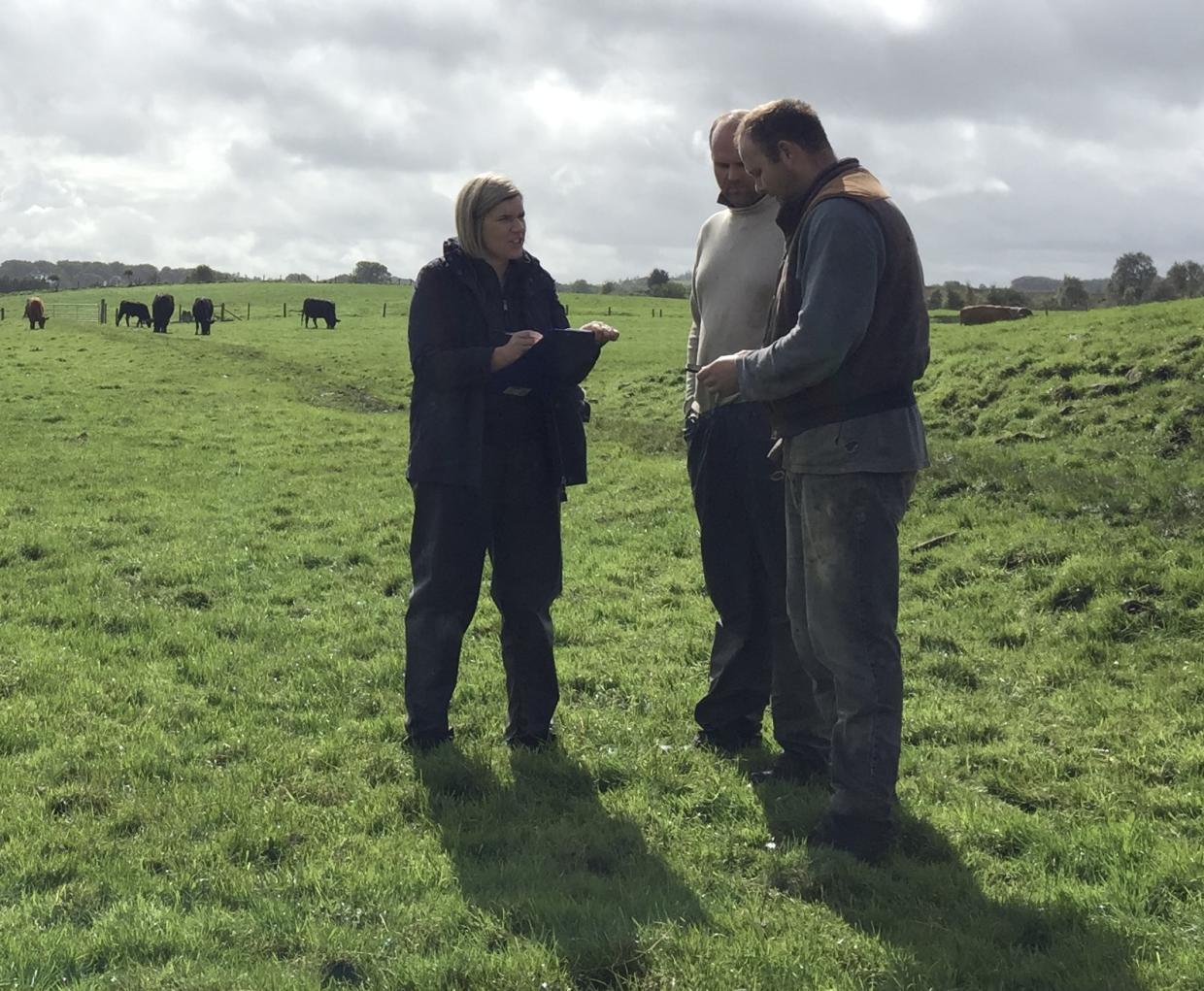 Unlock the value of your farm – join a Business Sustainability Group ...