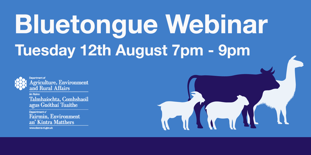 DAERA to host Bluetongue Virus Webinar | Department of Agriculture ...