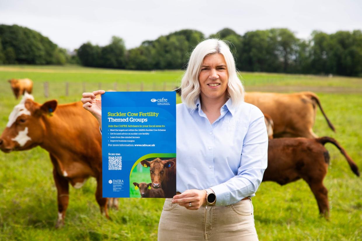 How does your herd fertility measure up | Department of Agriculture ...