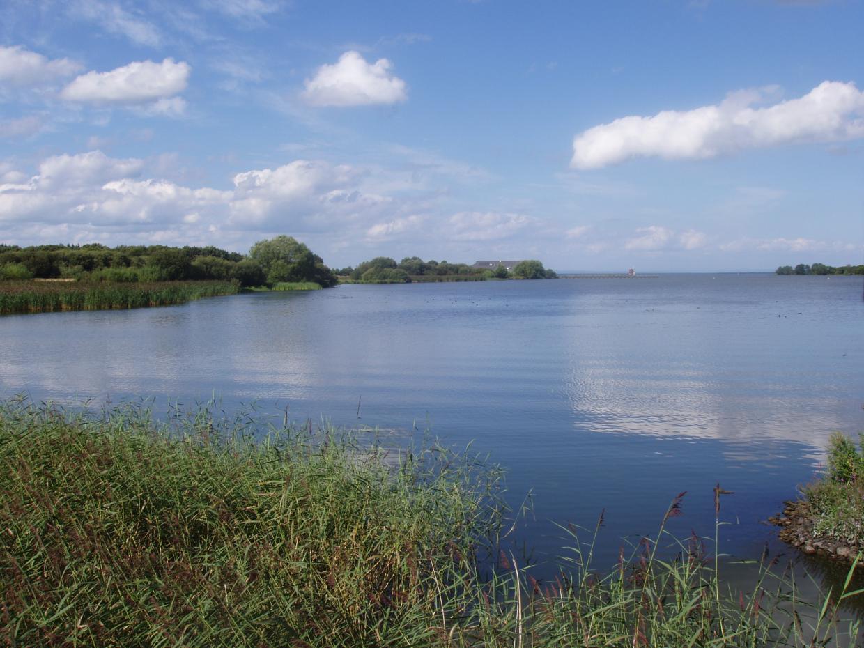 Lough Neagh and Lough Beg SPA | Department of Agriculture, Environment ...
