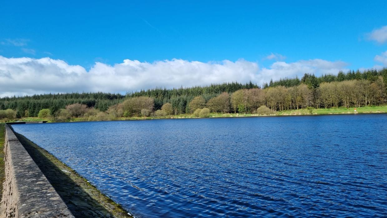 North Woodburn Reservoir | Department of Agriculture, Environment and ...