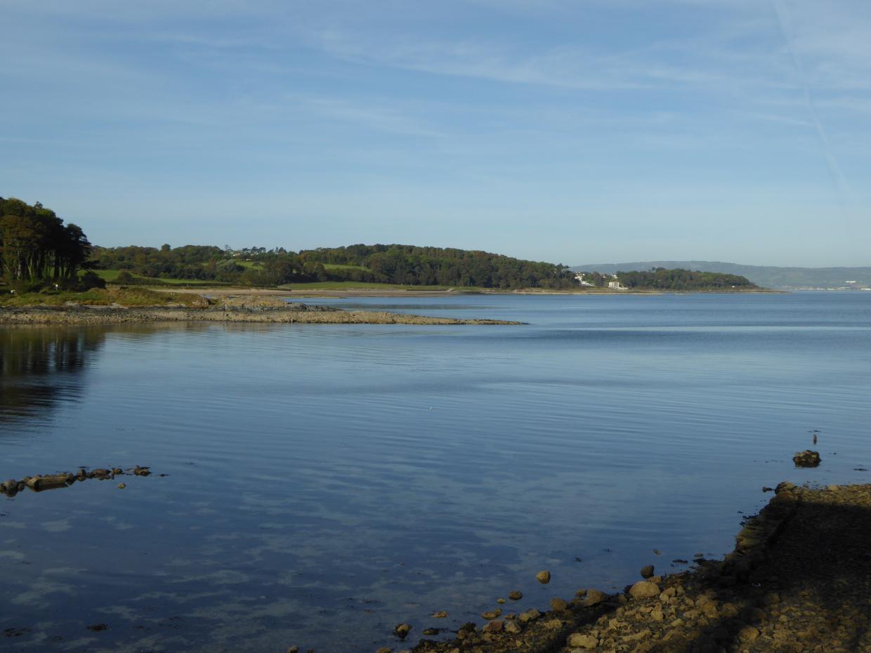Belfast Lough SPA | Department of Agriculture, Environment and Rural ...