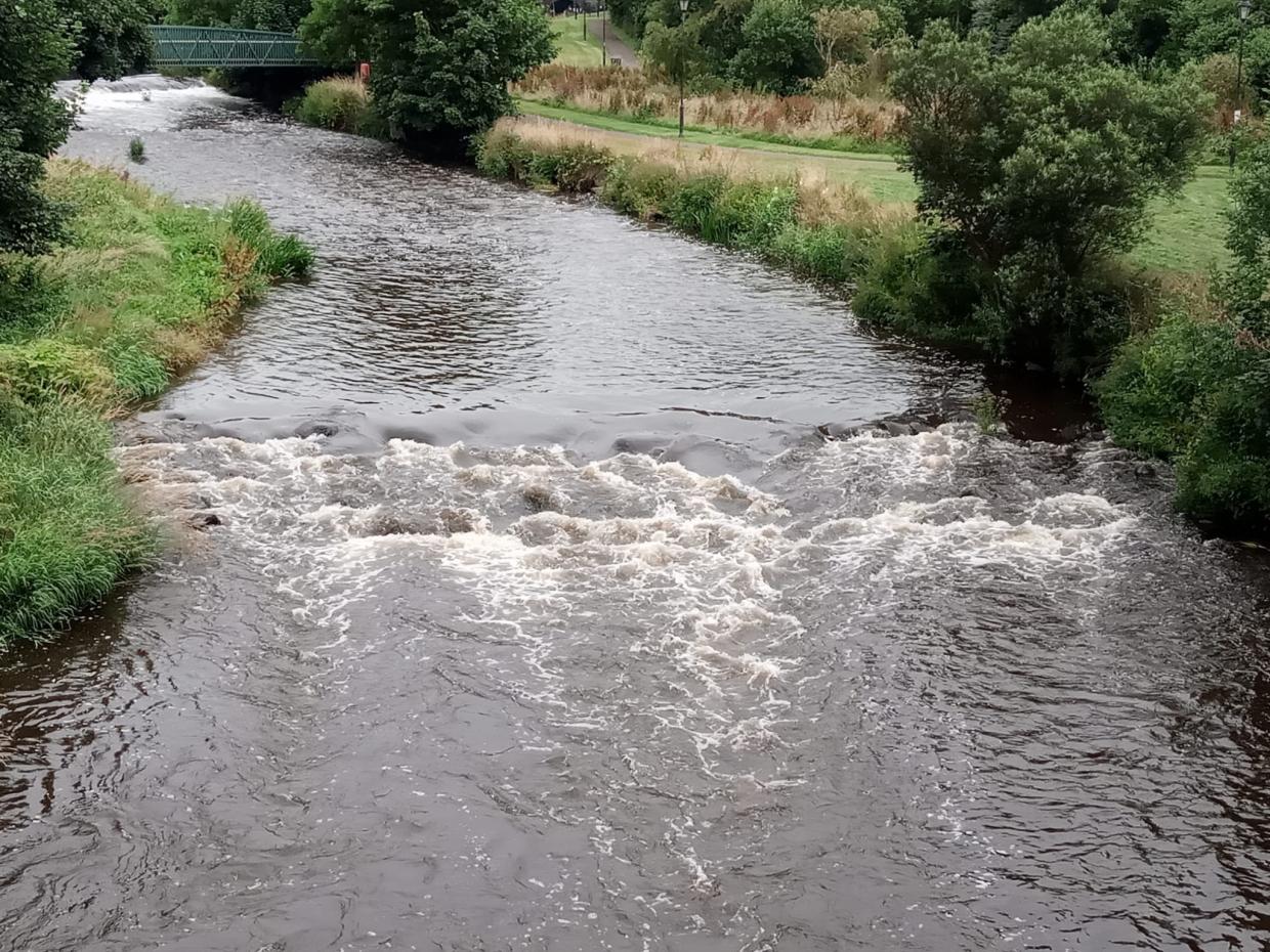 River Bush (Town Stretch) | Department of Agriculture, Environment and ...