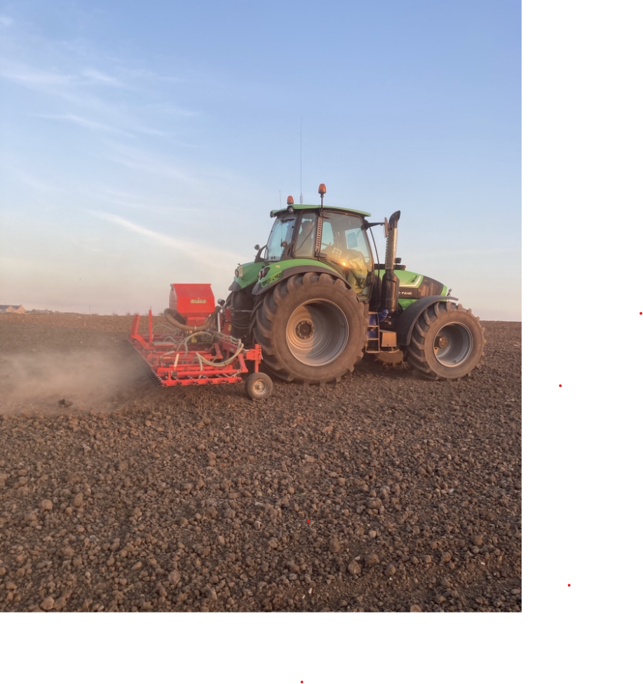 Steps for a successful Autumn reseed | Department of Agriculture ...