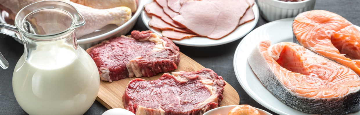 Exporting Food Products of Animal Origin and Animal By Products to GB ...