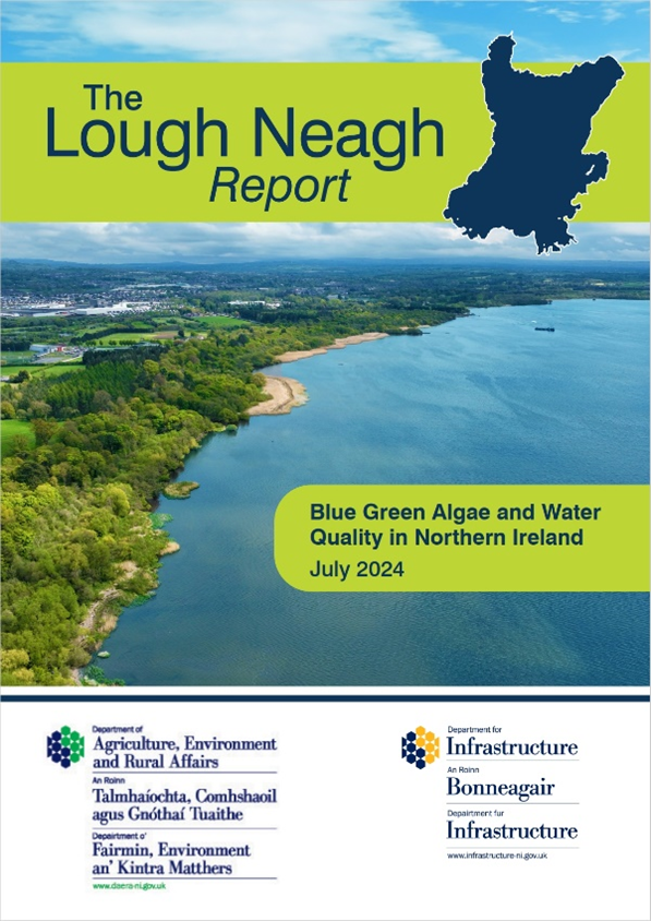 Action being taken to address the issues of Lough Neagh | Department of ...